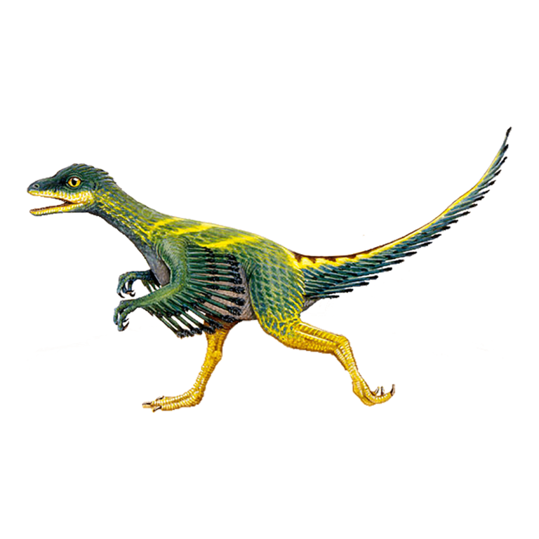 Theropods | 恐竜大百科