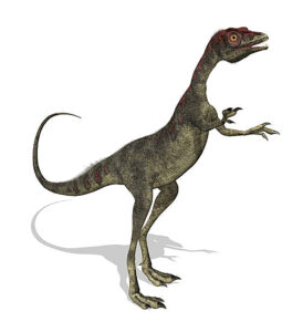 Compsognathus | Dinosaur Museum.web