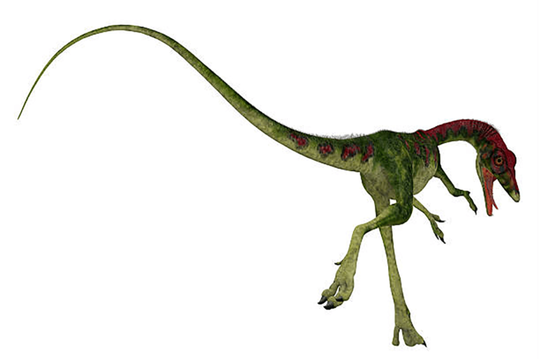 Compsognathus | Dino Encyclopedia